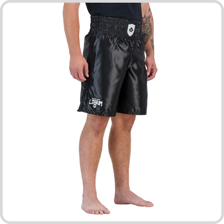 Titus Professional Boxing Shorts – Ligum Fight Gear