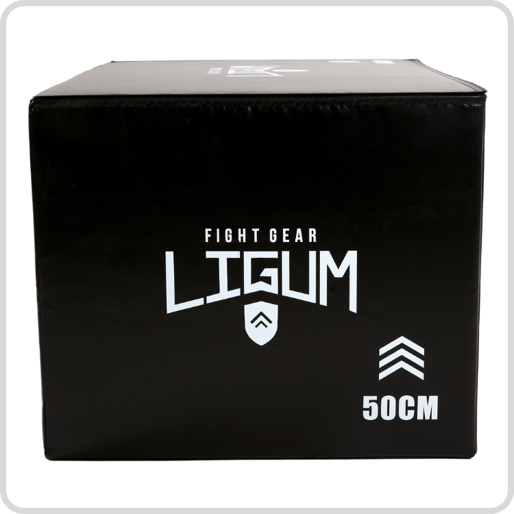 Commercial Plyo Jump Box - 30kg - 50cm x 60cm x 75cm – Ligum Fight Gear