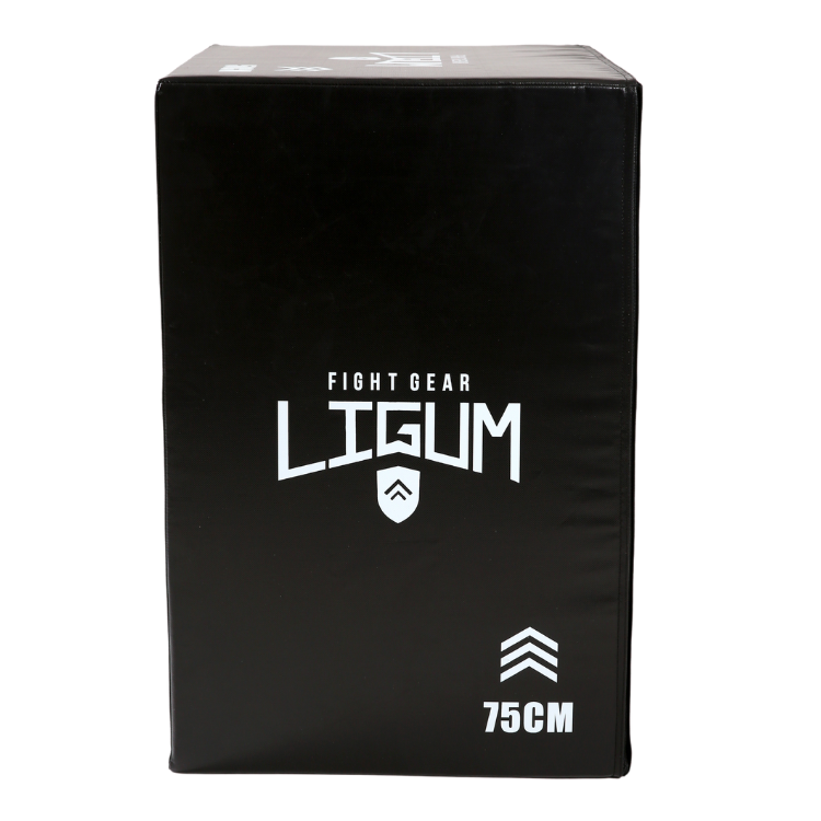 Commercial Plyo Jump Box - 30kg - 50cm x 60cm x 75cm – Ligum Fight Gear