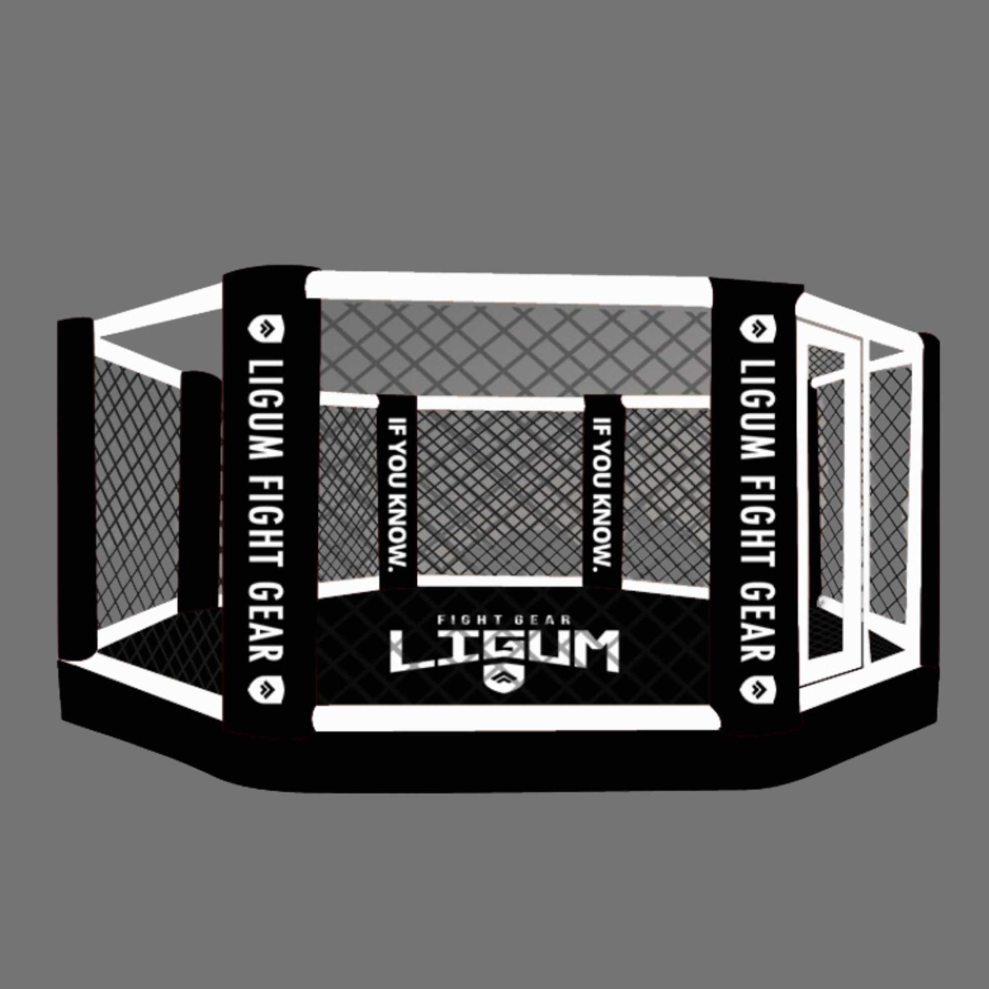 MMA Ring – Ligum Fight Gear