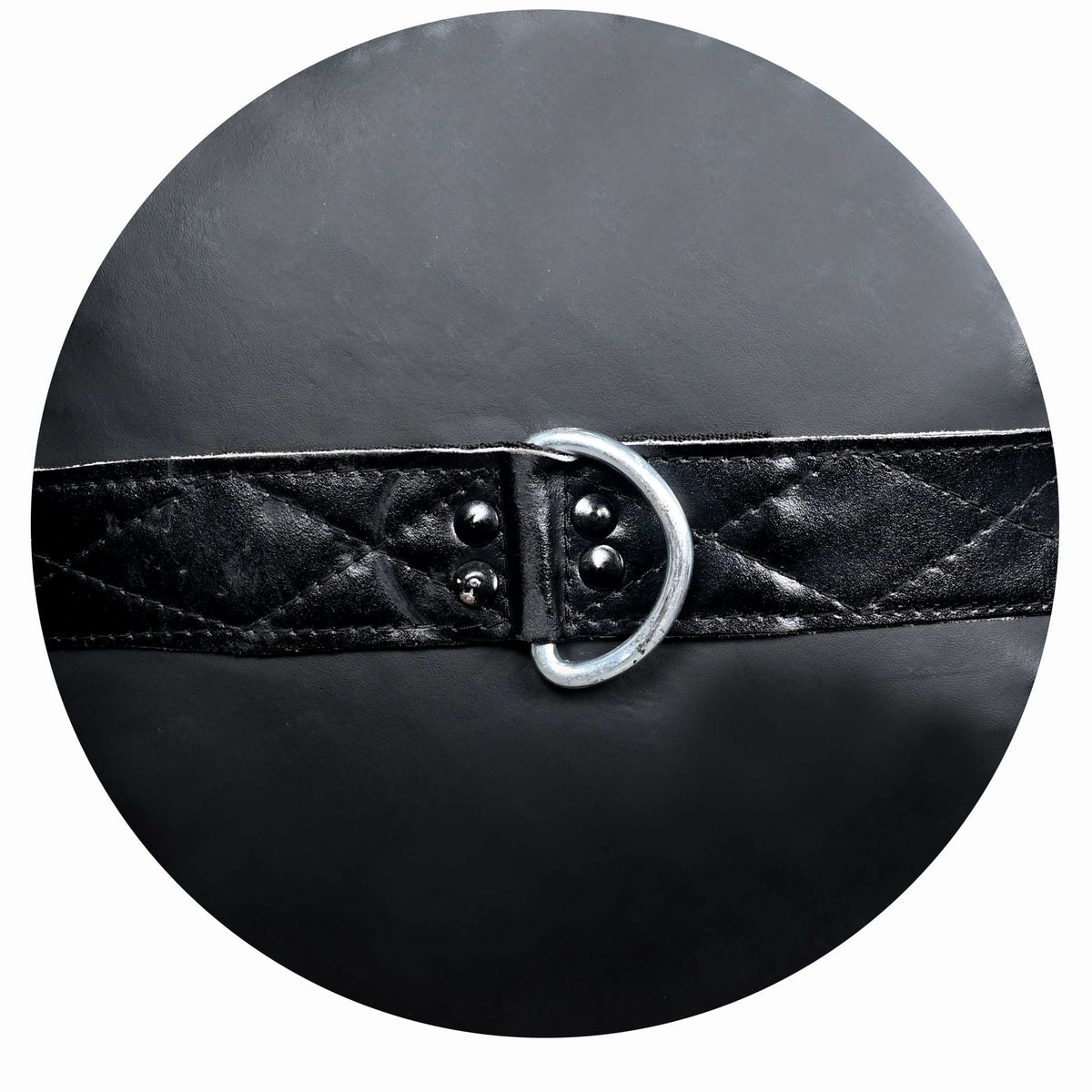 Ludus Series - Technical Angle Bag – Ligum Fight Gear